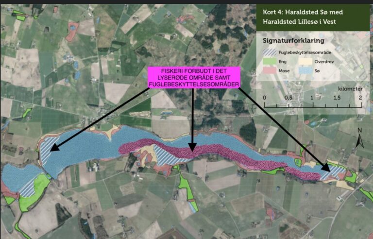 Haraldsted Sø – Lystfiskeriforeningen