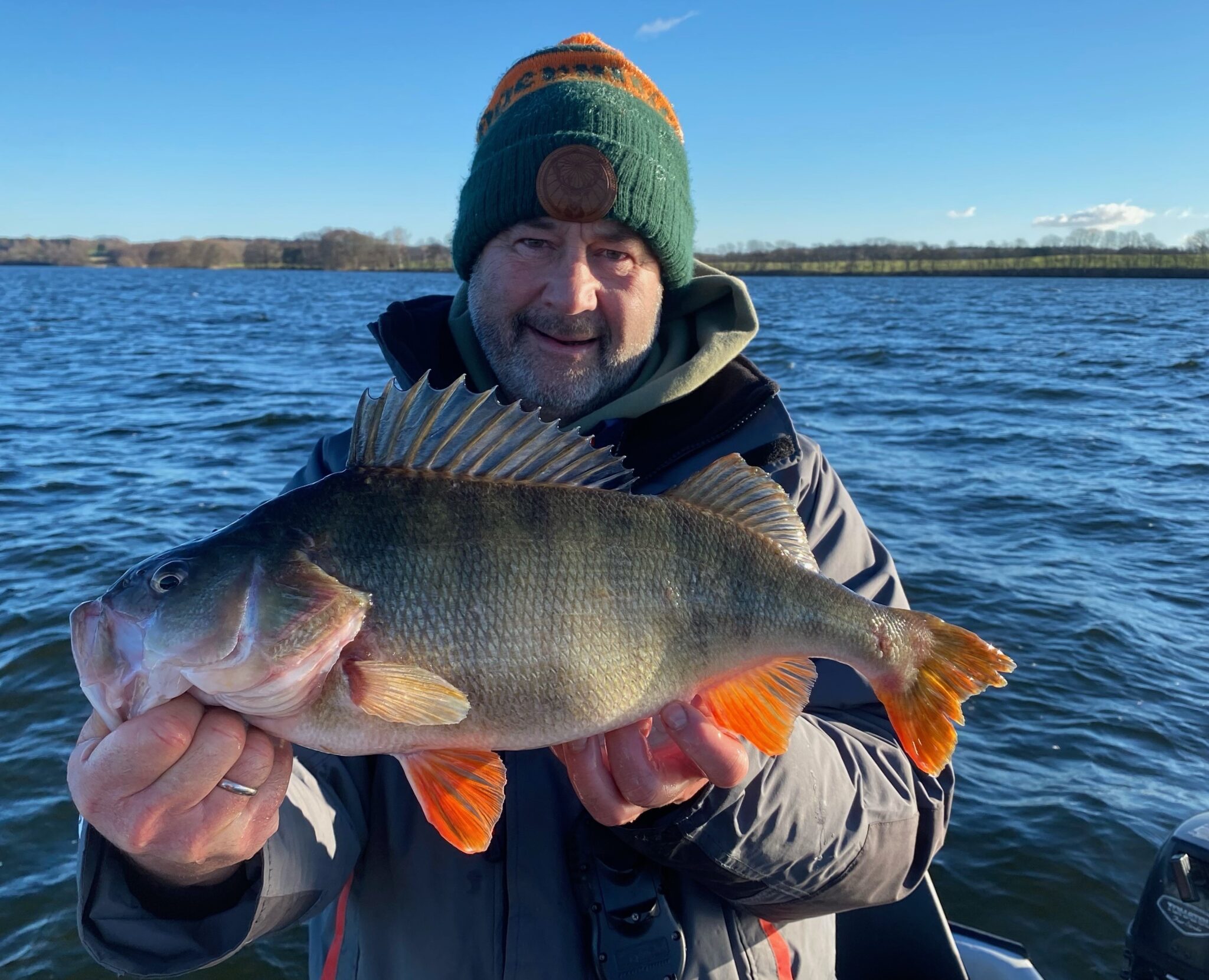 Aborre på 2+ fra Esrum Sø – Lystfiskeriforeningen